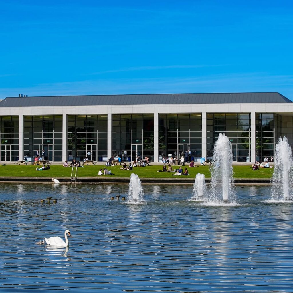 UCD Professional Diploma in Creativity, Innovation and Leadership | Summer 2026 - UCD Innovation ...