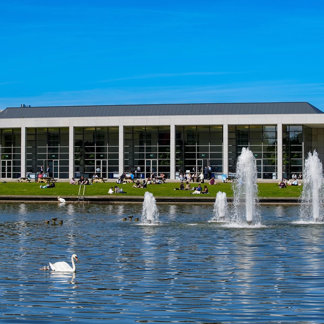 UCD Professional Diploma in Creativity, Innovation and Leadership ...